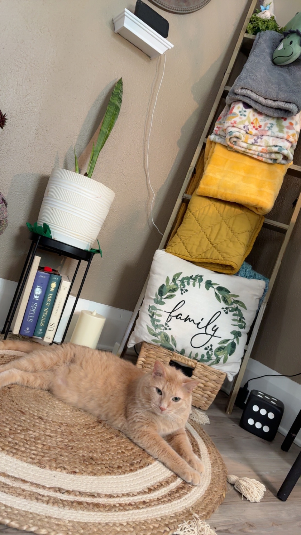 Fundraiser by Alexis Giles : Putting my Leo to rest