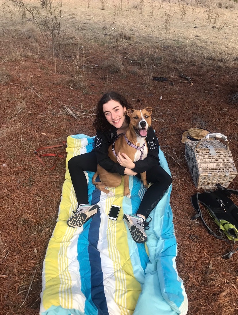 Fundraiser by Laura Diebold : Help Our Avocado Walk Again