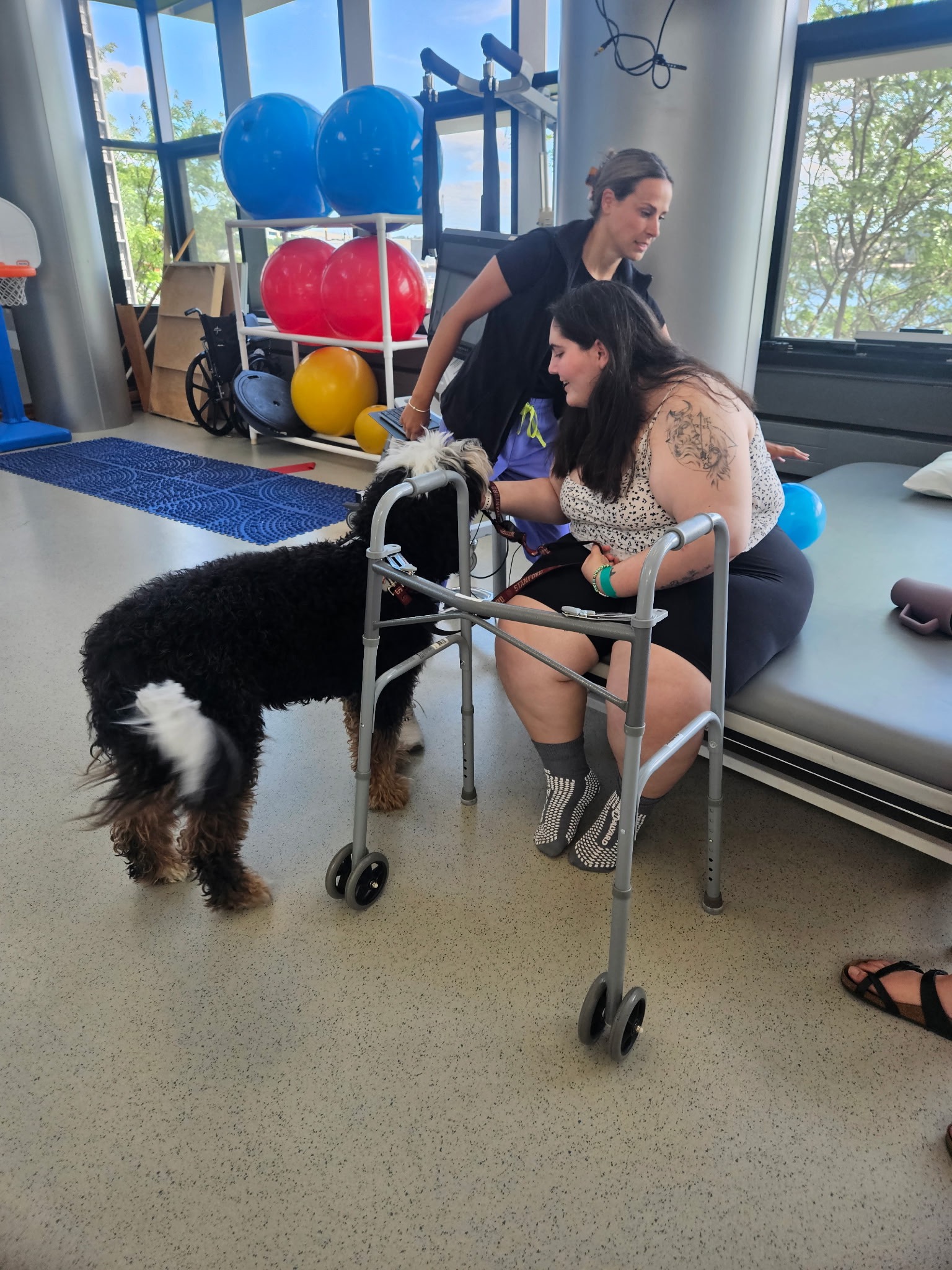 Fundraiser for Christine Crain by Courtney Willett : Support for Sydney ...