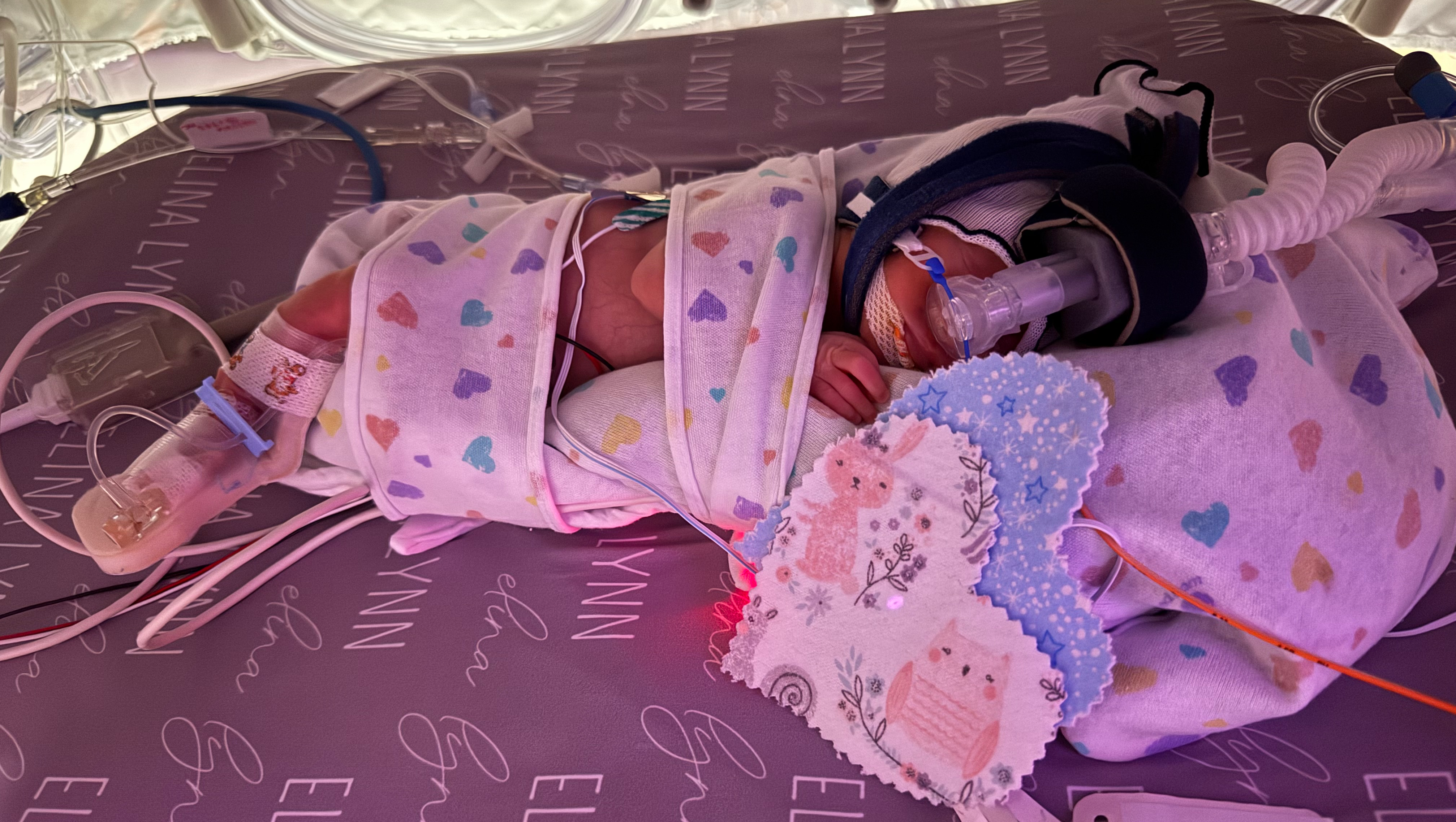 Fundraiser for Kristen Werner by Lauren Quickel : Help the Werner ...