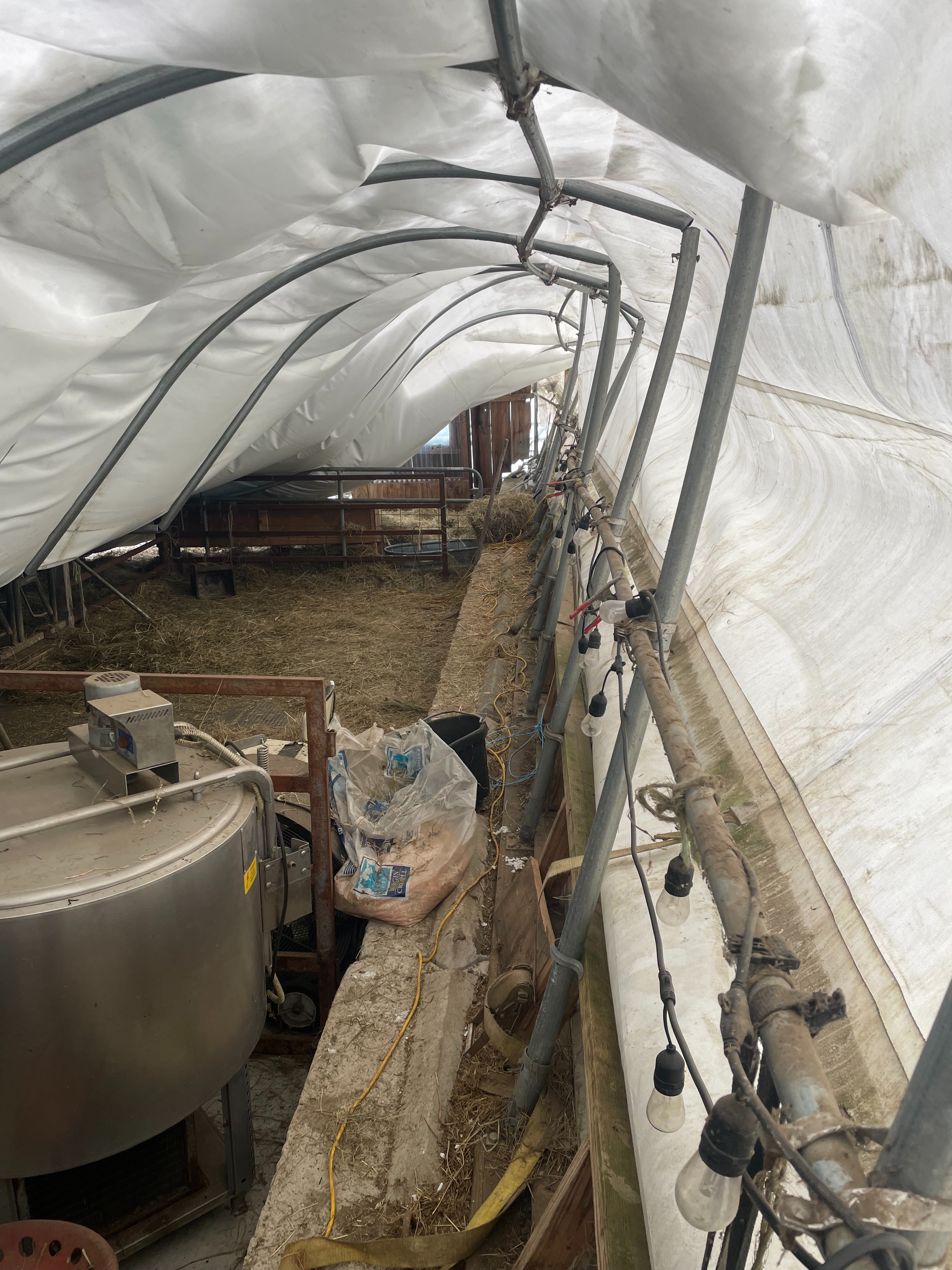 Fundraiser for Nicole Burton by Seneca Smith : Help Freedom Farm ...