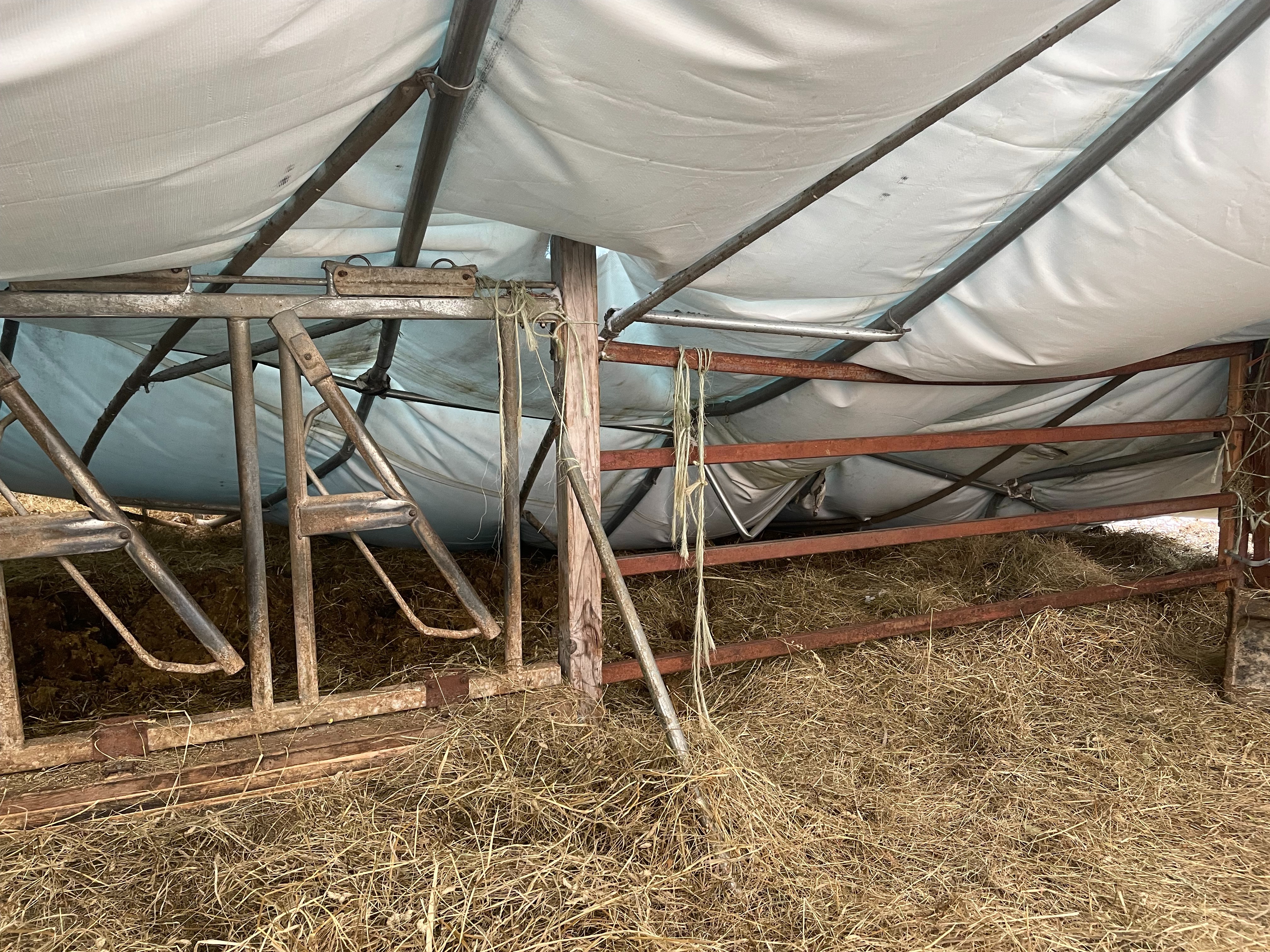 Fundraiser for Nicole Burton by Seneca Smith : Help Freedom Farm ...