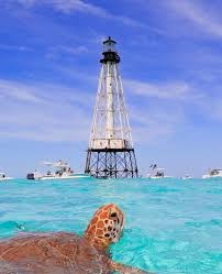 Fundraiser by Crystal Dargusch : Help Save Alligator Lighthouse in ...