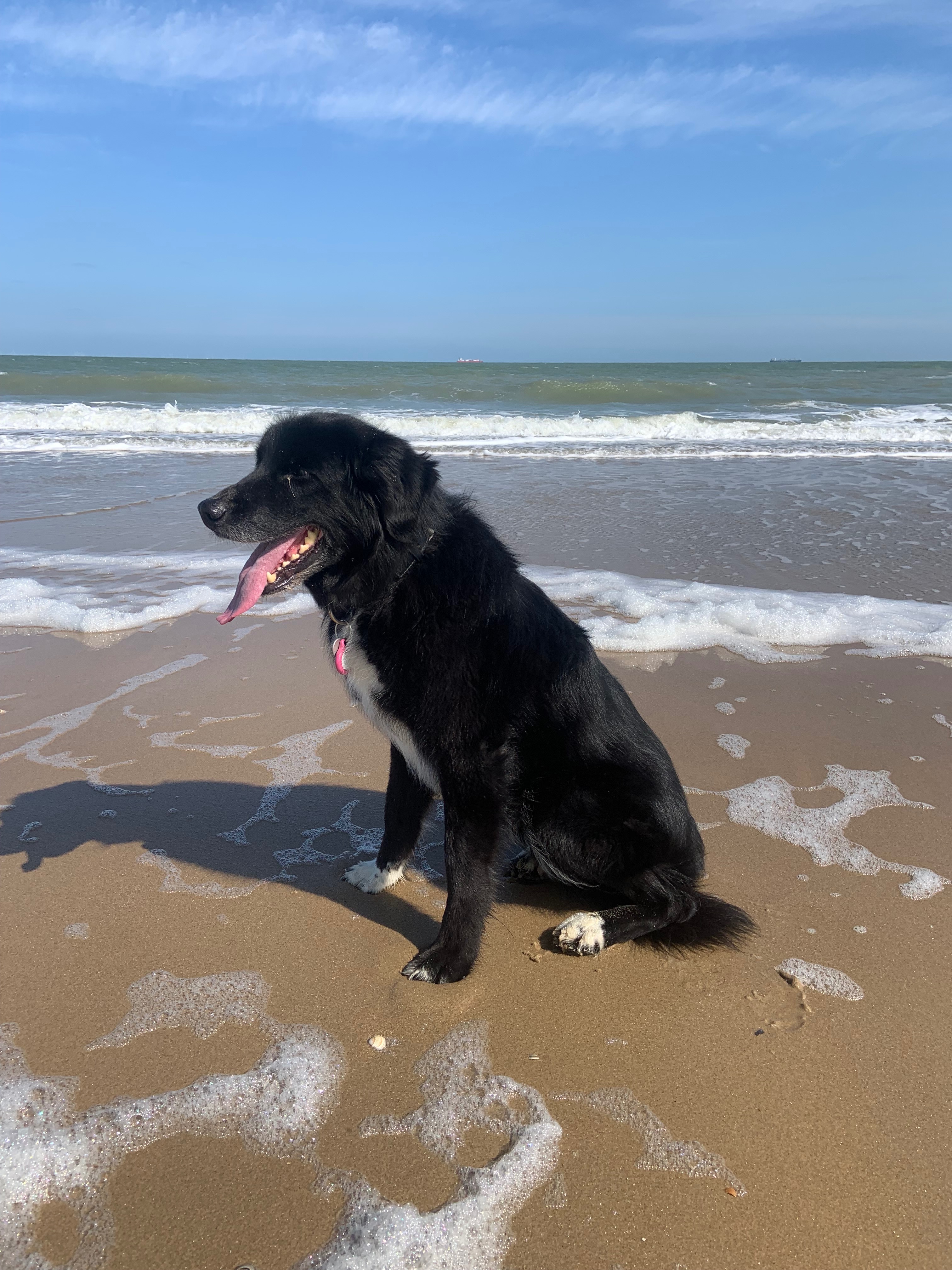 Fundraiser by Emilie Caerdinael : Faite un don pour m’aider a soigner ...