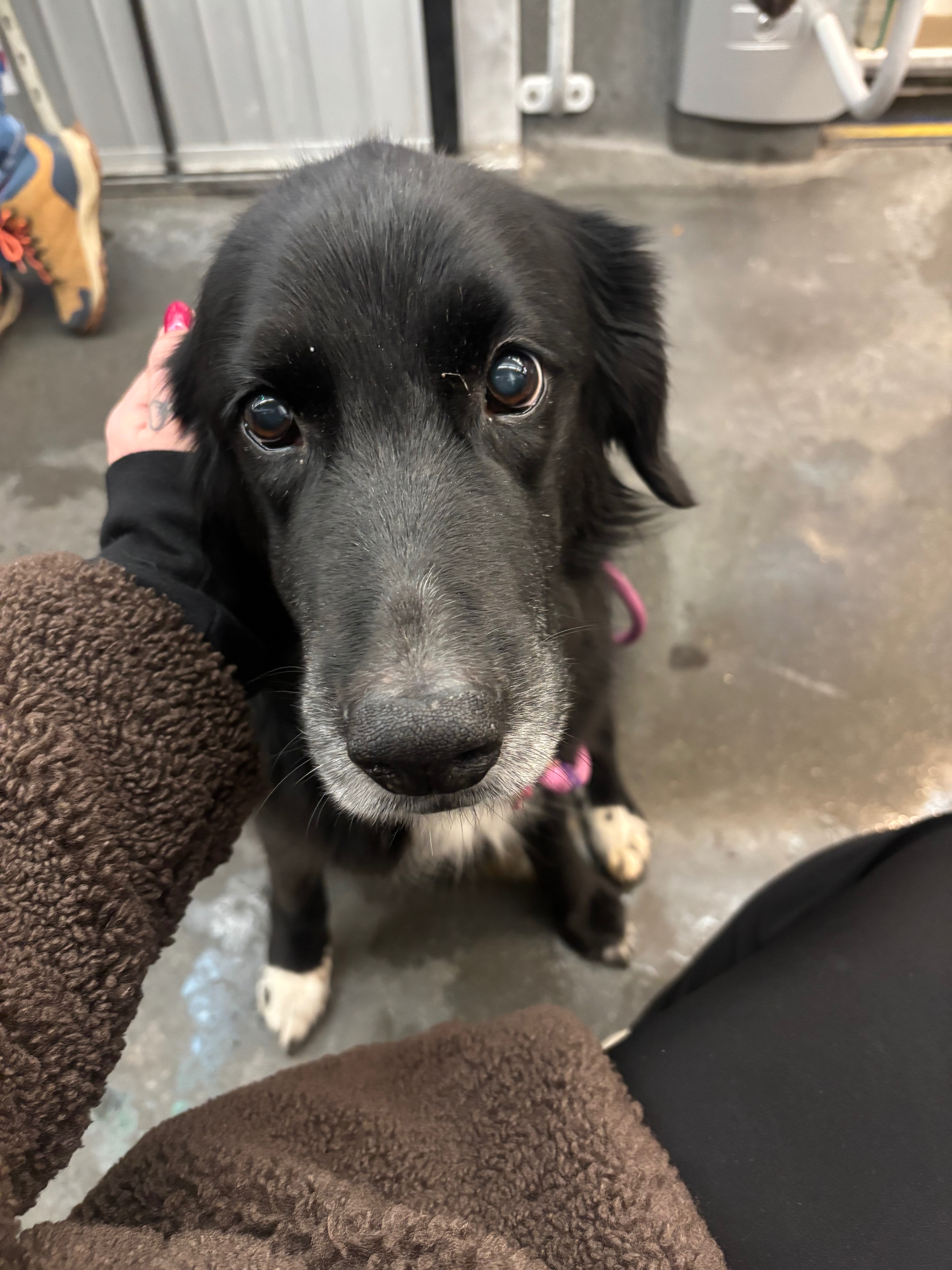 Fundraiser by Emilie Caerdinael : Faite un don pour m’aider a soigner ...