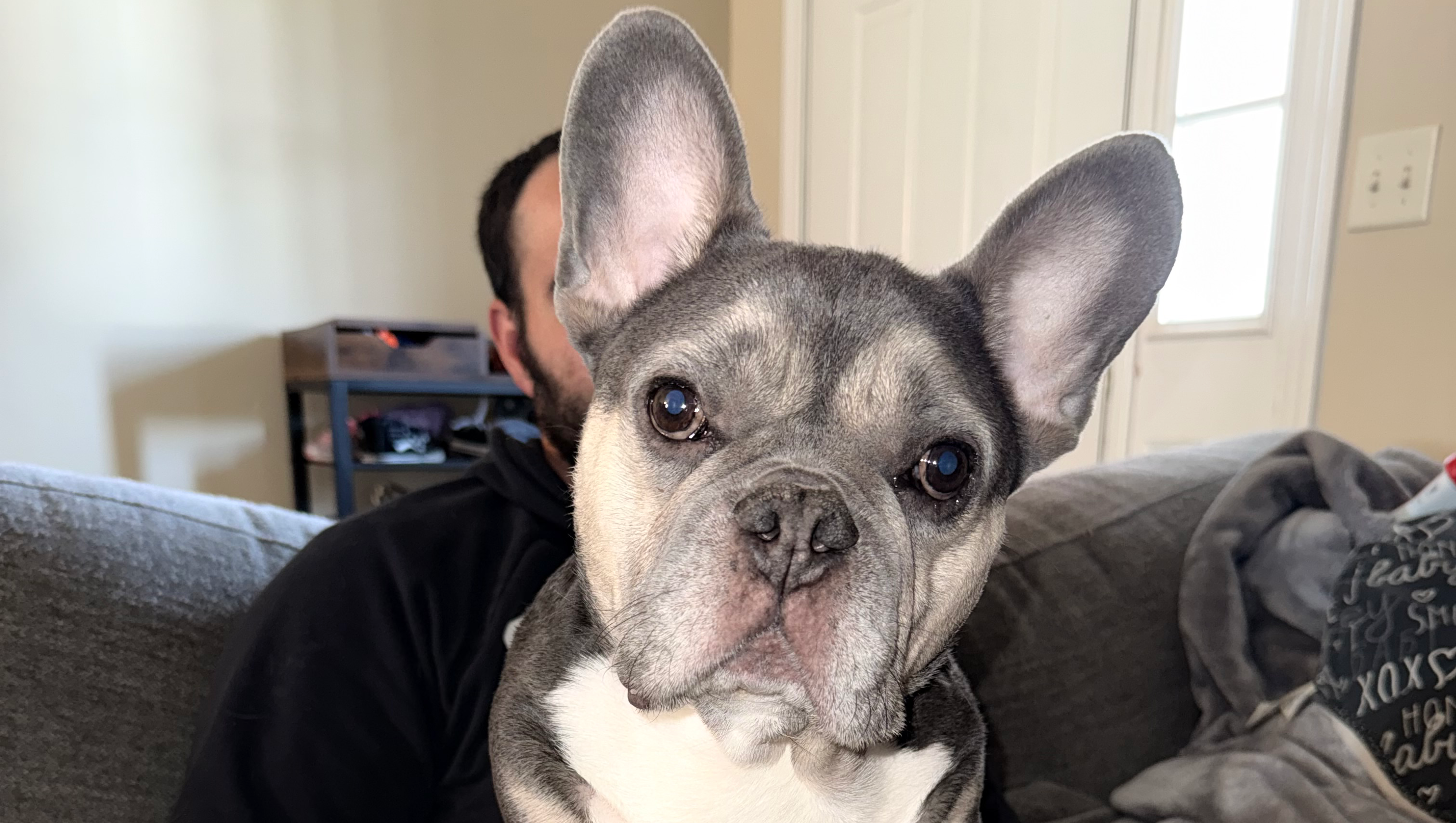 Fundraiser by Abbie Couch : Support Kylo’s Recovery Journey