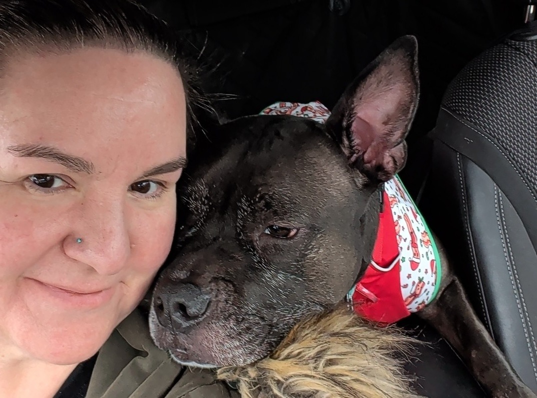 Fundraiser by Melissa McCaw : Support Jen and Diggle after Losing their ...