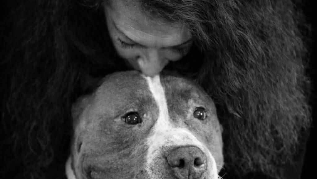 Fundraiser by Laurie Collins : Help Laurie & Her Dogs Heal and Stay Safe