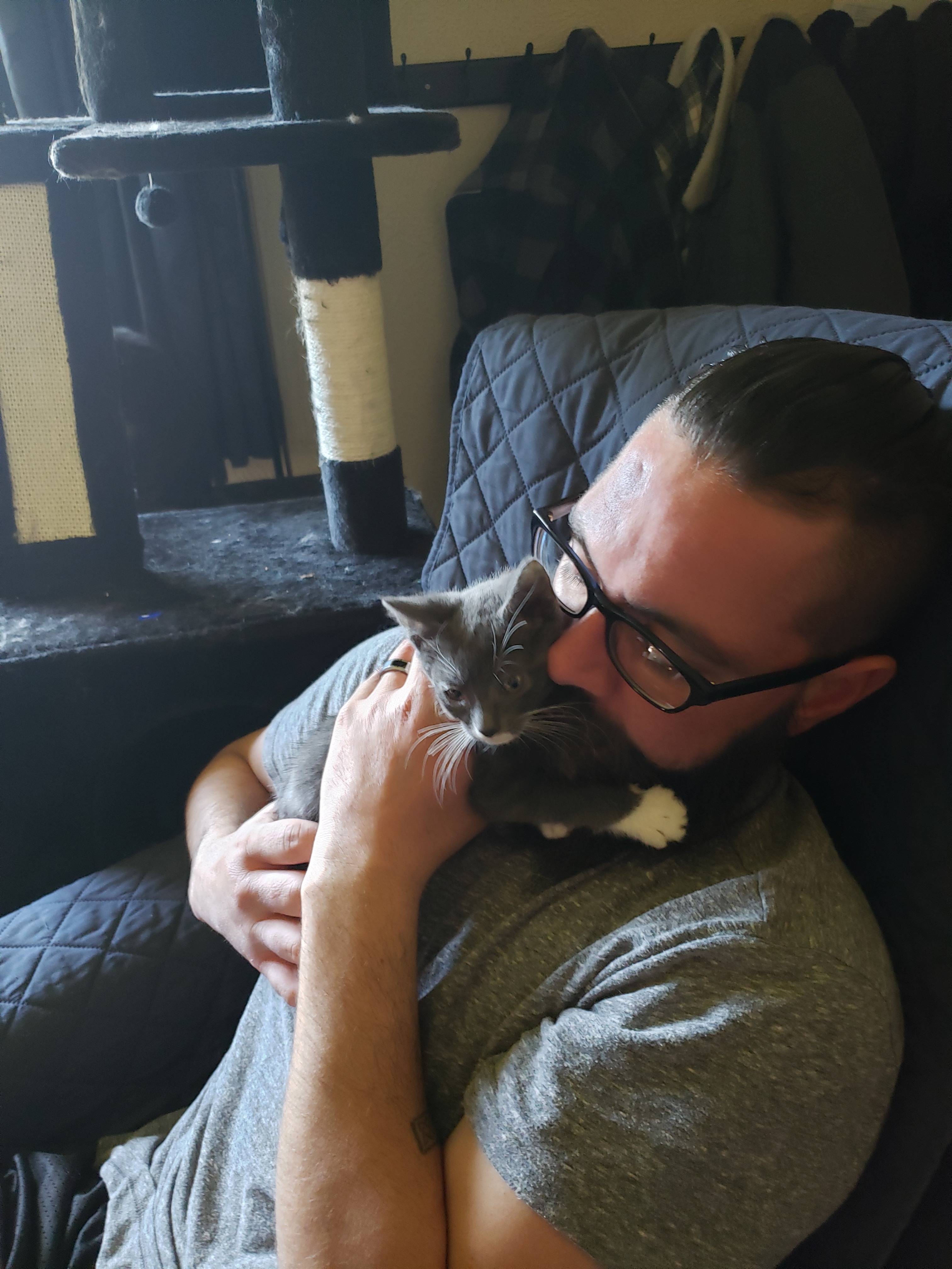 Fundraiser by Carrie Sell-Salazar : Help Carrie’s Feline Rescue Become ...