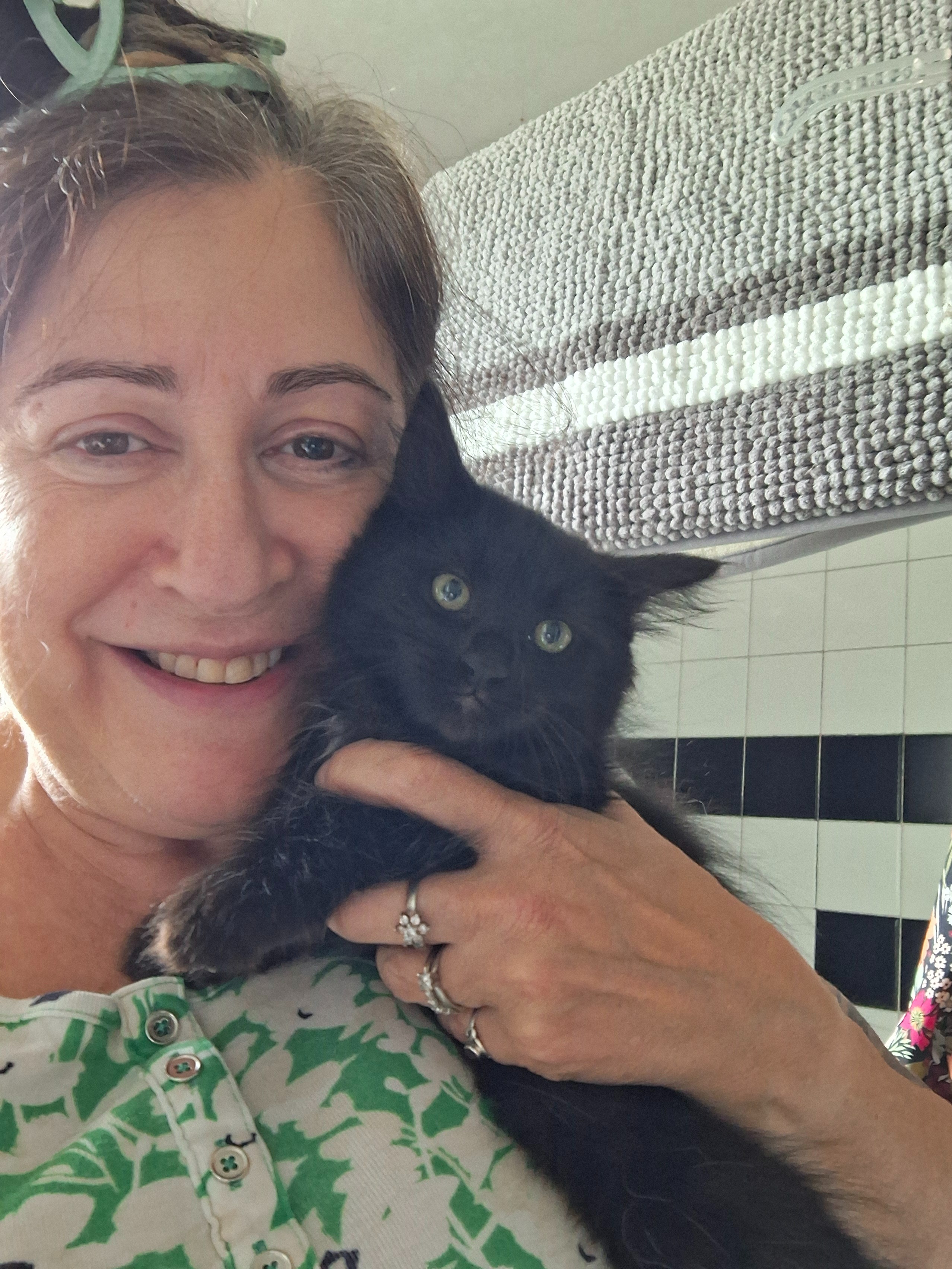 Fundraiser by Carrie Sell-Salazar : Help Carrie’s Feline Rescue Become ...