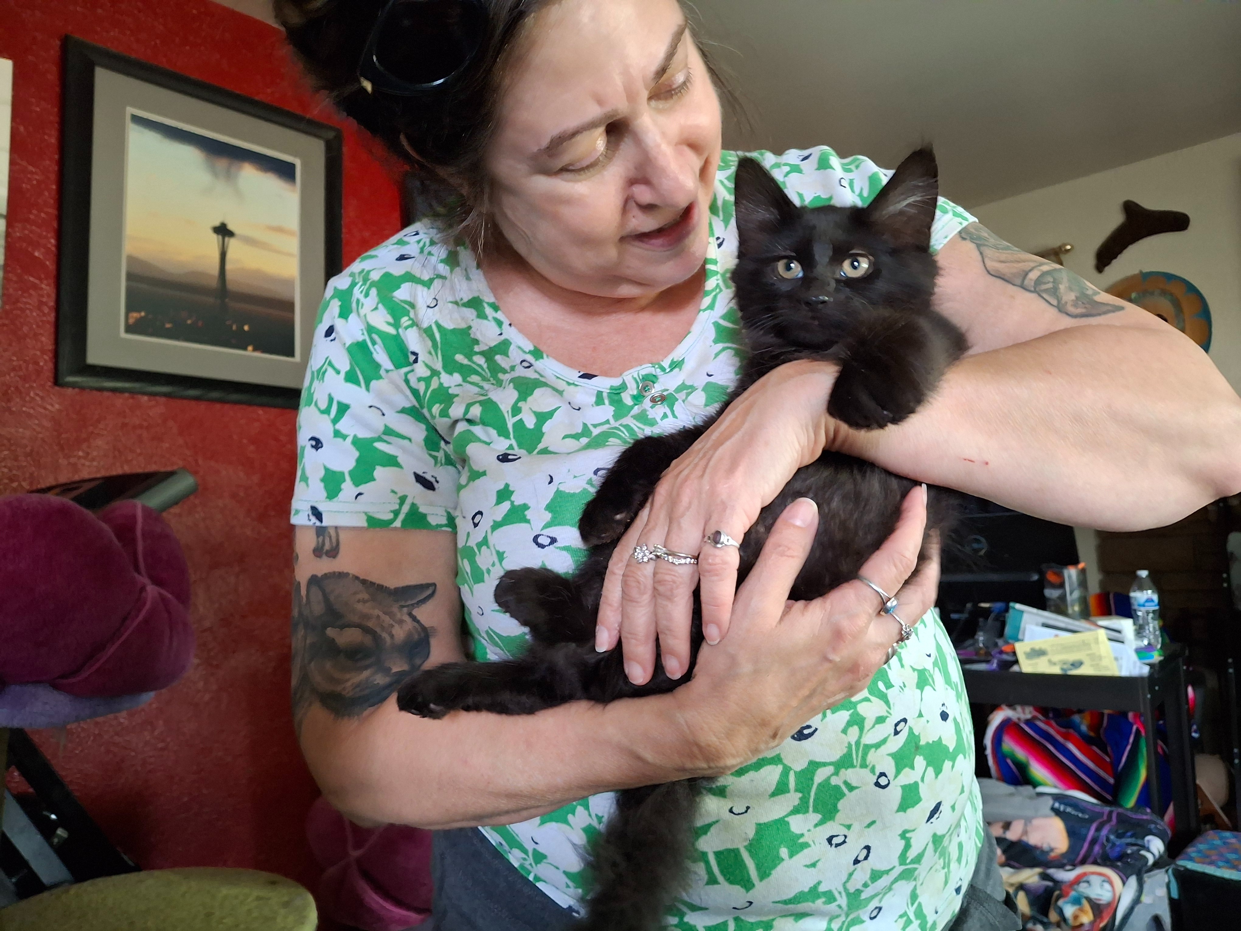 Fundraiser by Carrie Sell-Salazar : Help Carrie’s Feline Rescue Become ...
