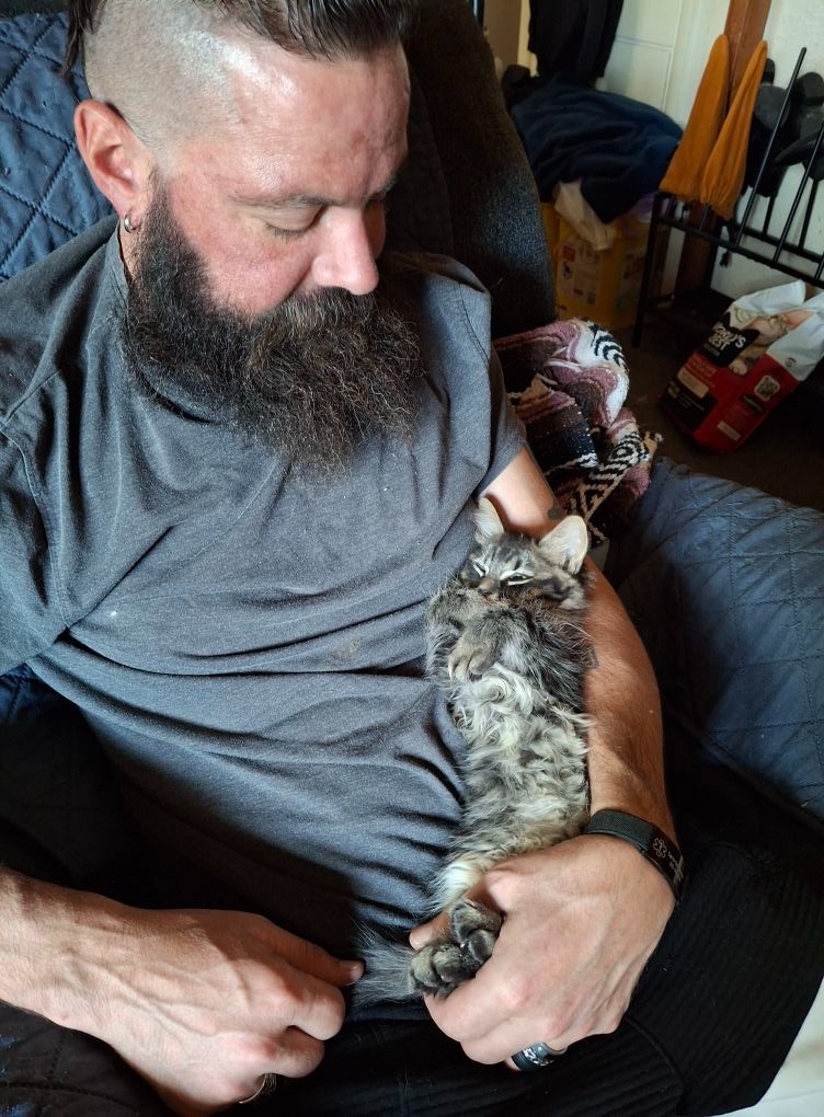 Fundraiser by Carrie Sell-Salazar : Help Carrie’s Feline Rescue Become ...