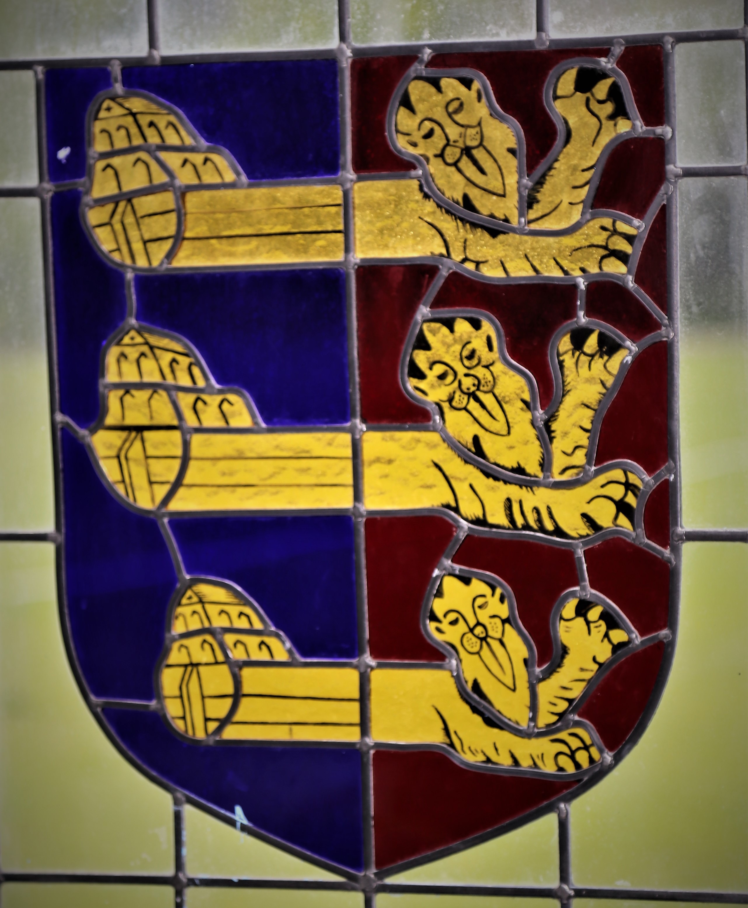 Fundraiser by David Allen : The Paddy McAdam Dover Rugby Club Youth ...