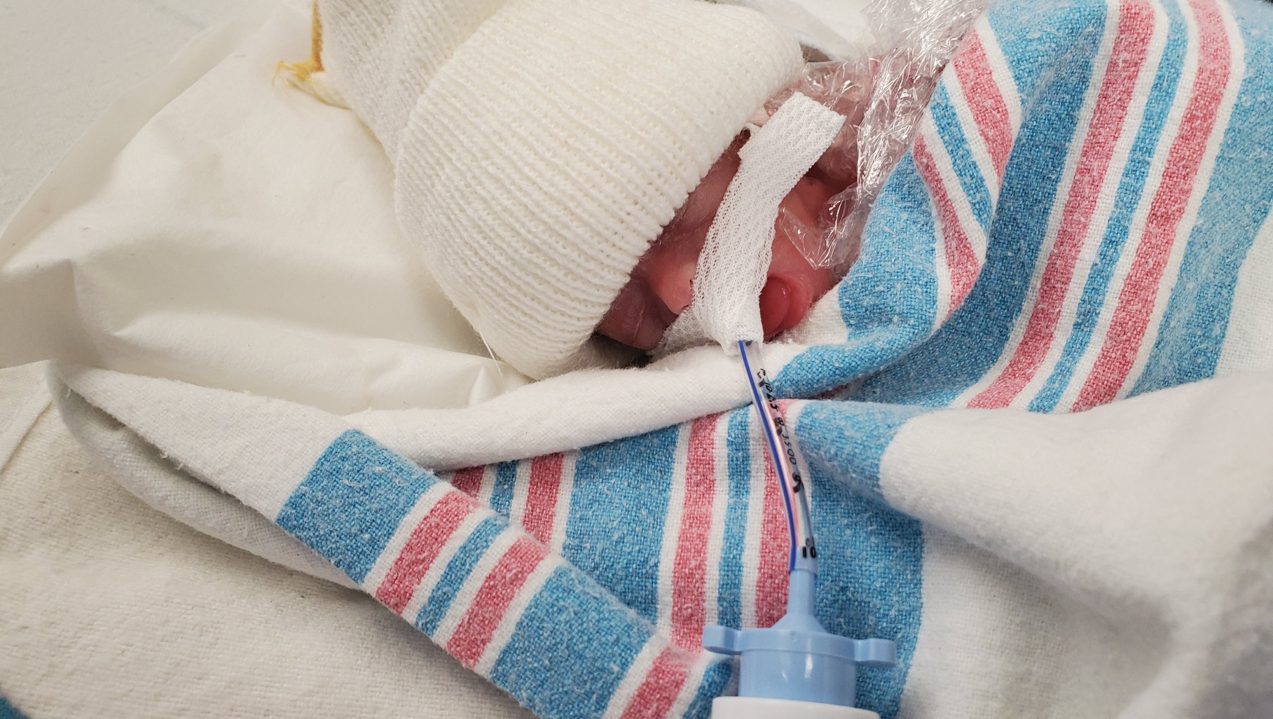 Fundraiser for Victoria Dubree by Leslie Morrison : Blessings for Baby ...